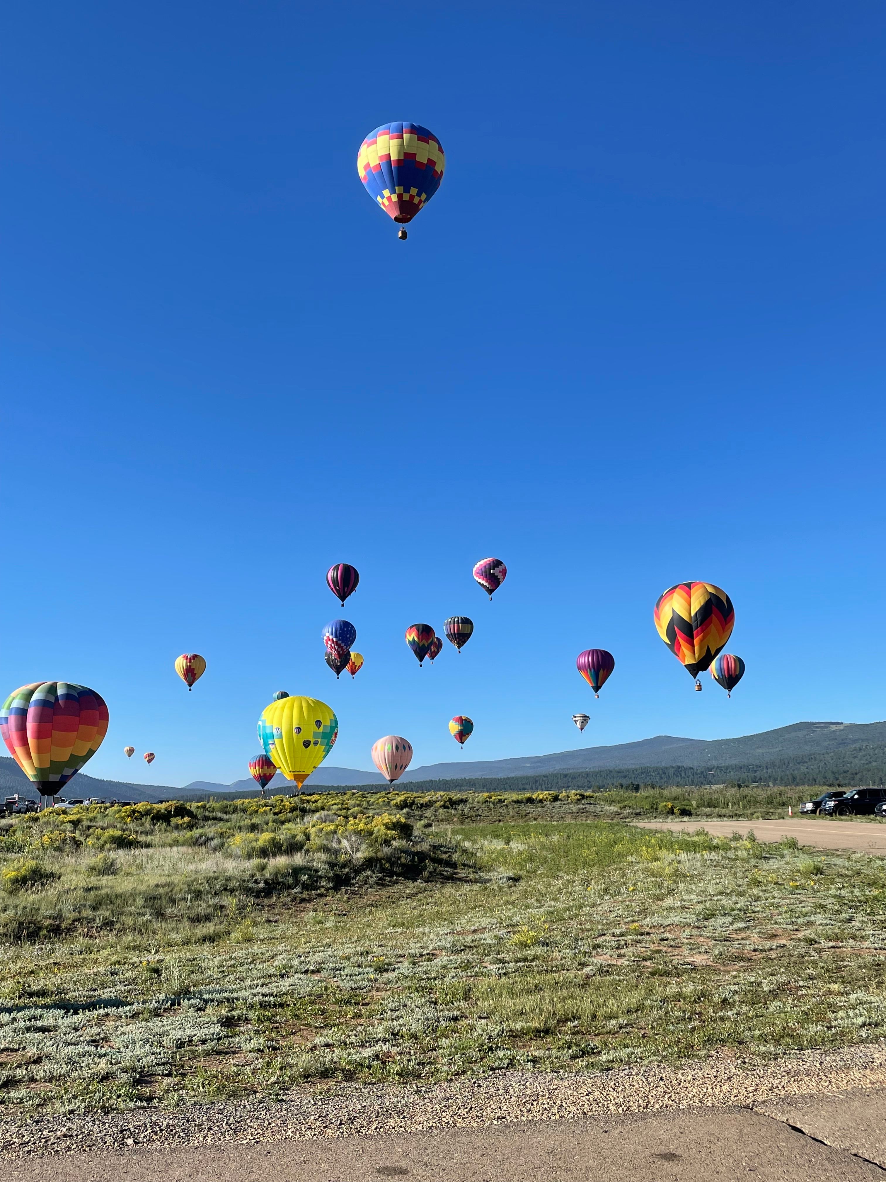 Home [hellomounts.com]