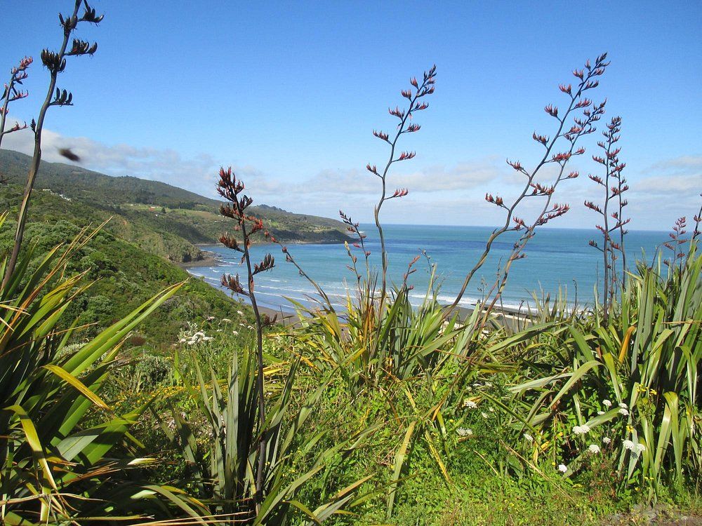 Raglan Holiday Properties | Beachfront & Family-Friendly Stays in ...