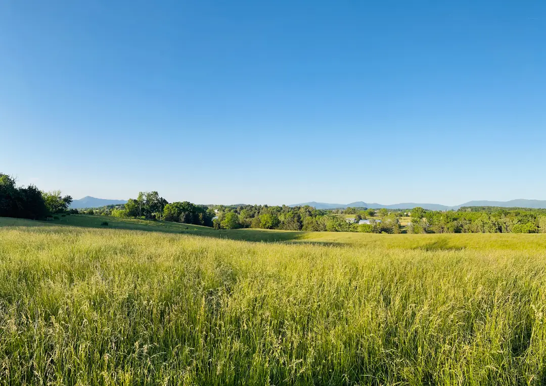 Big Oak Manor & Ranch Wedding Venue