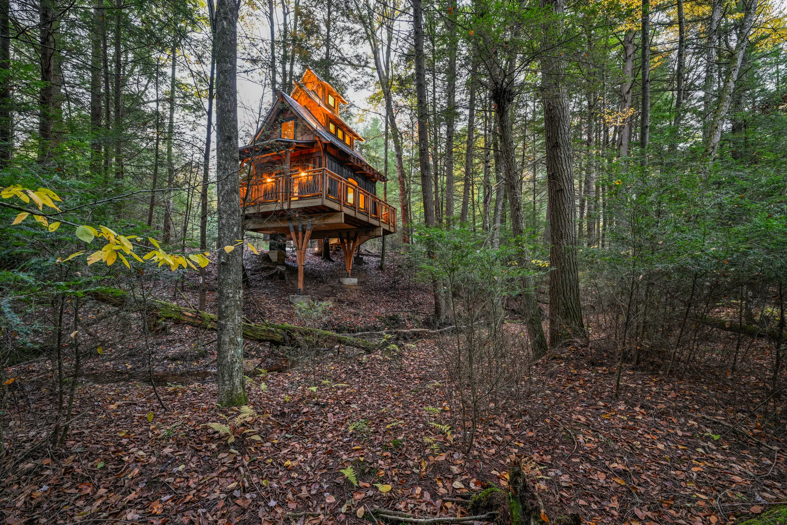 Cabins Near Cook Forest | The Hemlock Haven
