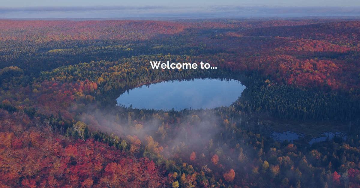 Sax Zim Bog Lodge, Hibbing, Minnesota