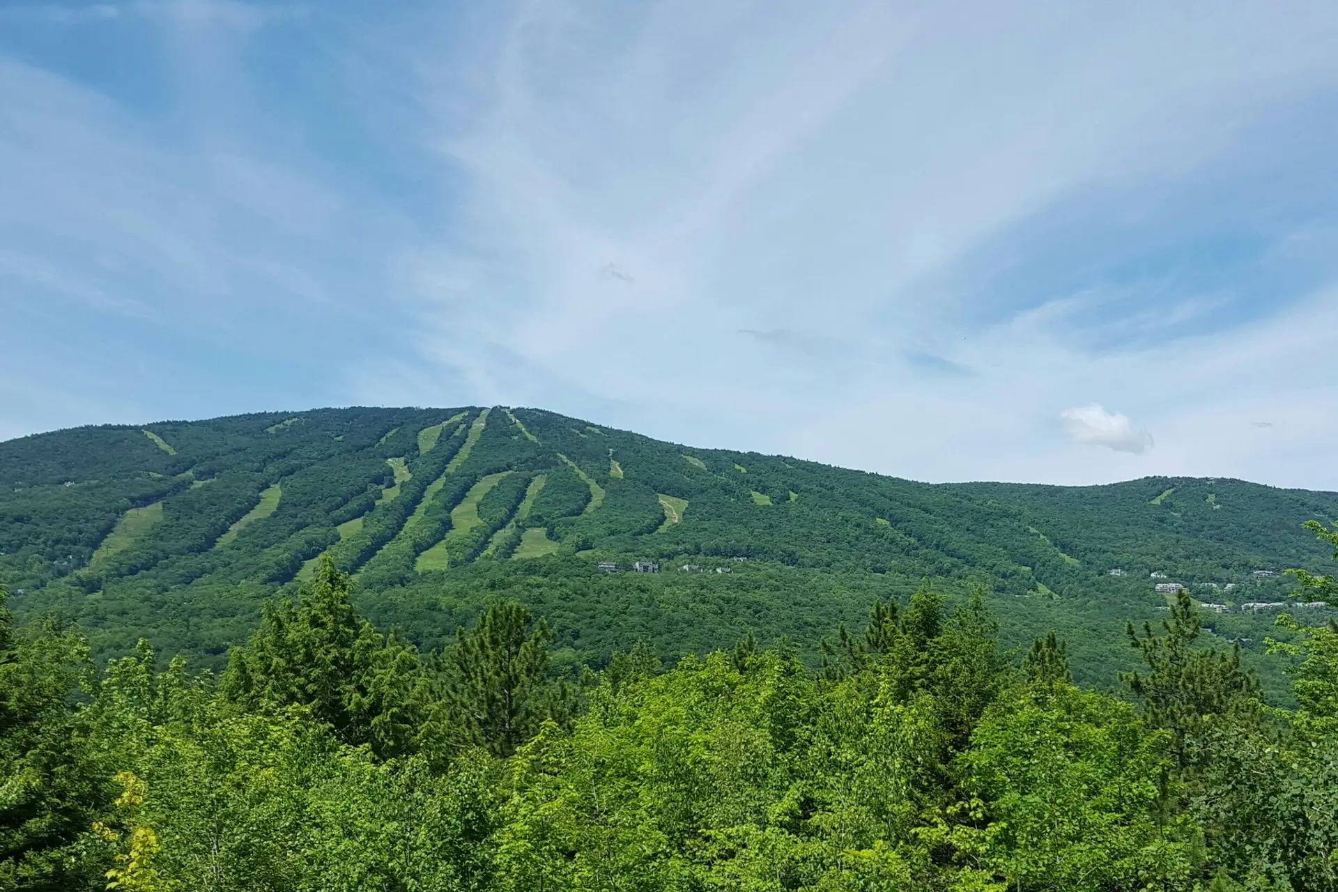 Okemo Vacation Rentals